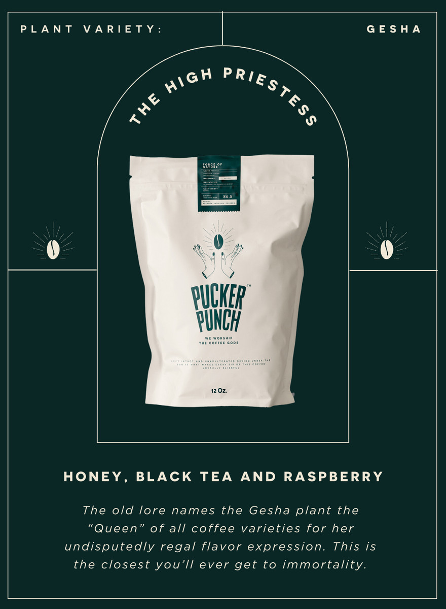High Priestess – Pucker Punch Coffee Roasters